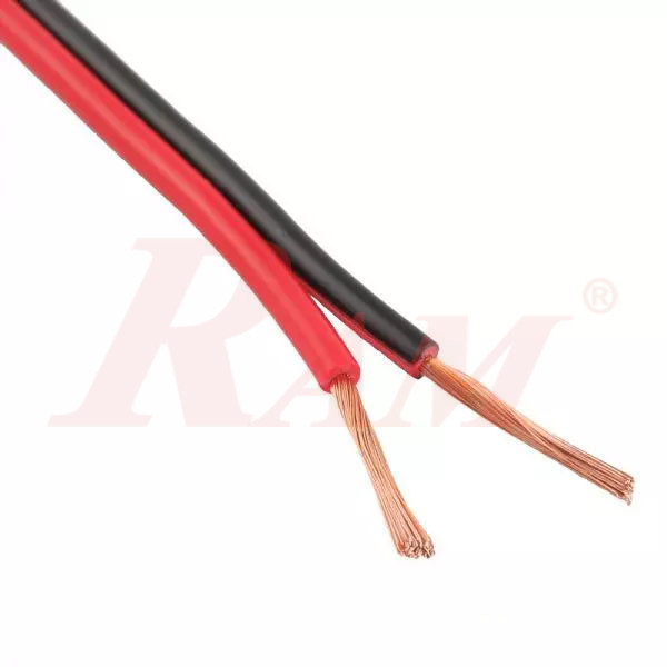 Speaker Wire 2 core x 1mm Red & Black - 1 Meter | RAM Electronics website